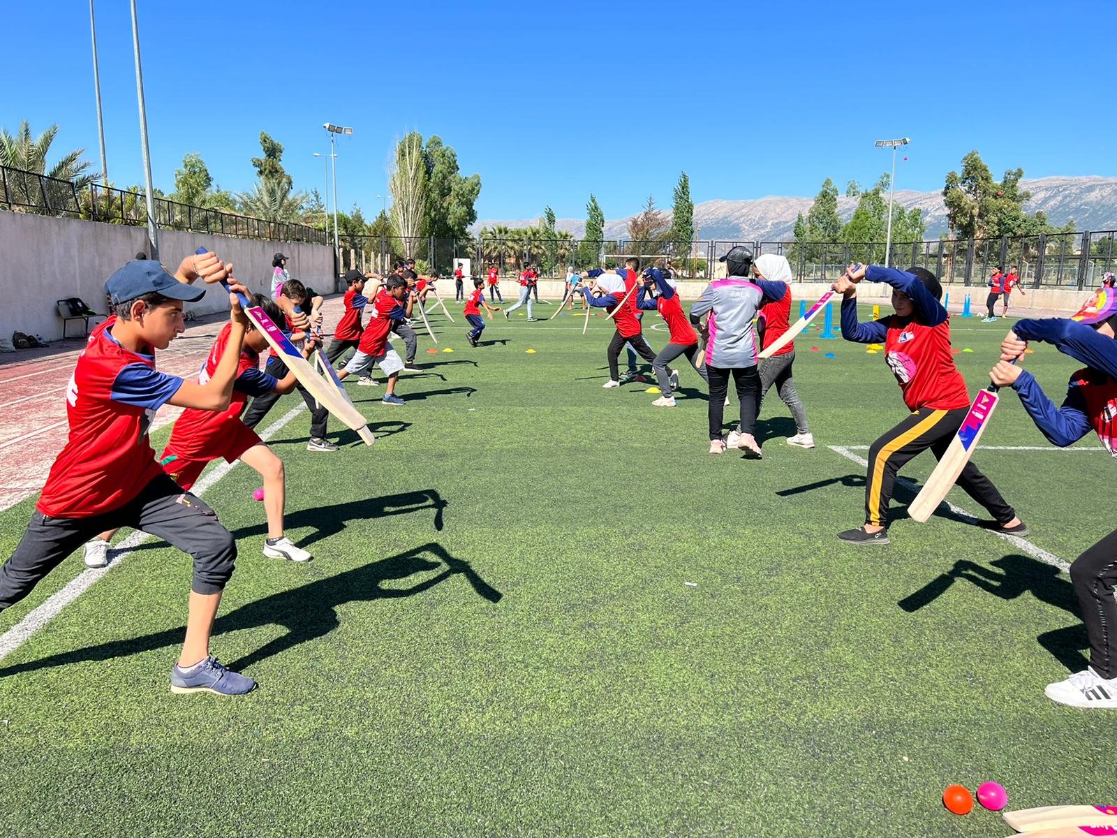 Impact - Capital Kids Cricket
